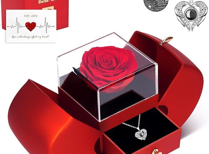 Valentines Day Preserved Red Rose in Heart - Savings Guru